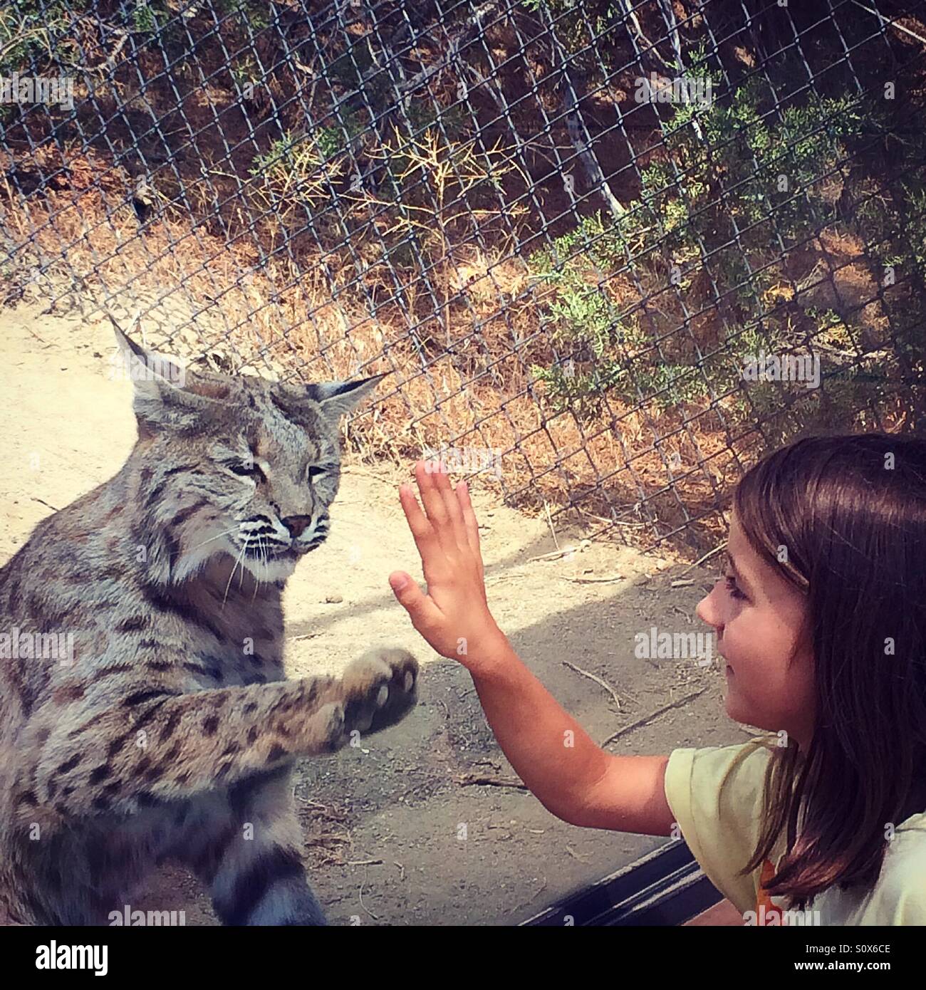 Hi five hi-res stock photography and images - Alamy
