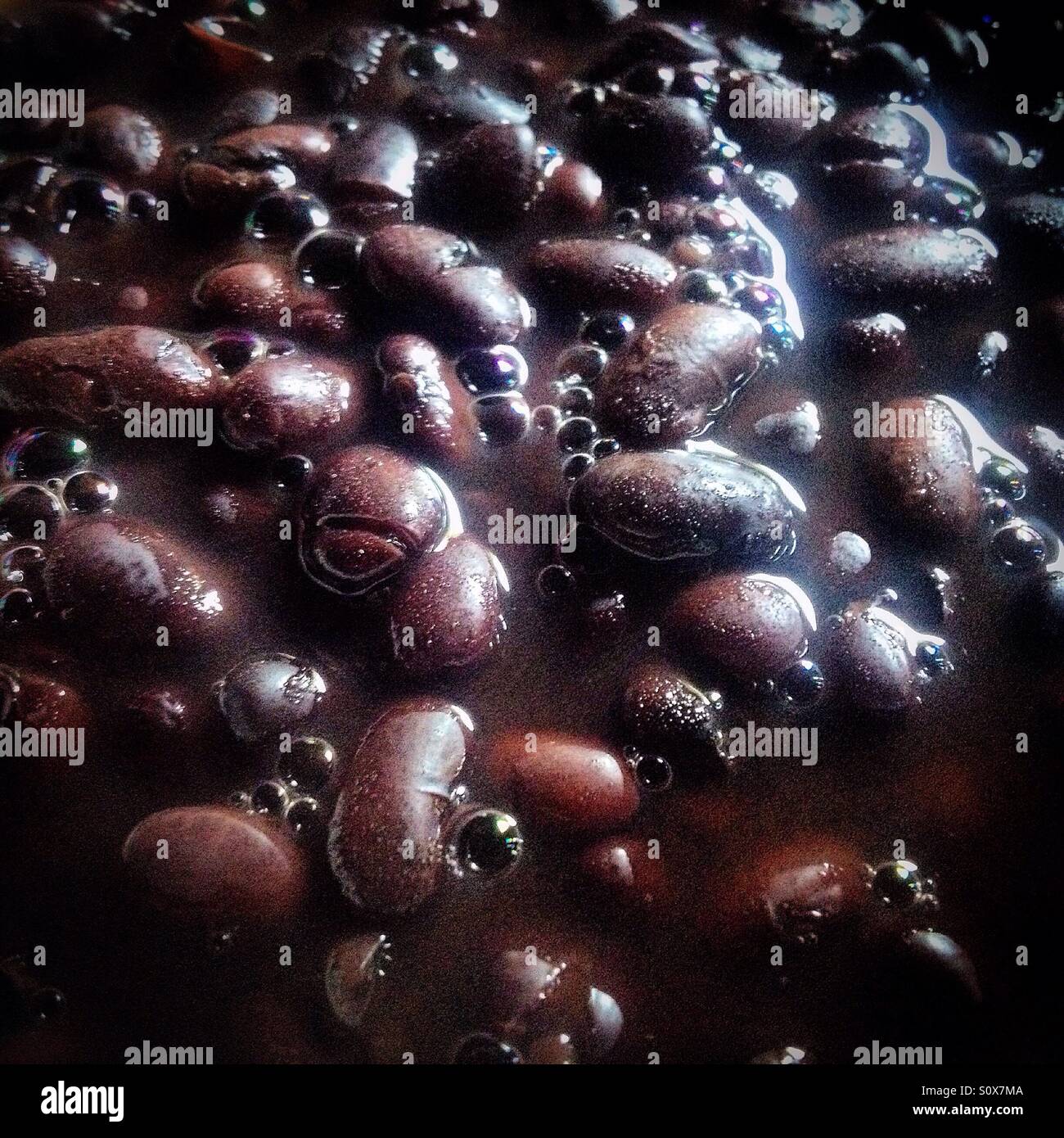 Black kidney beans for breakfast in El Triunfo Biosphere Reserve ...