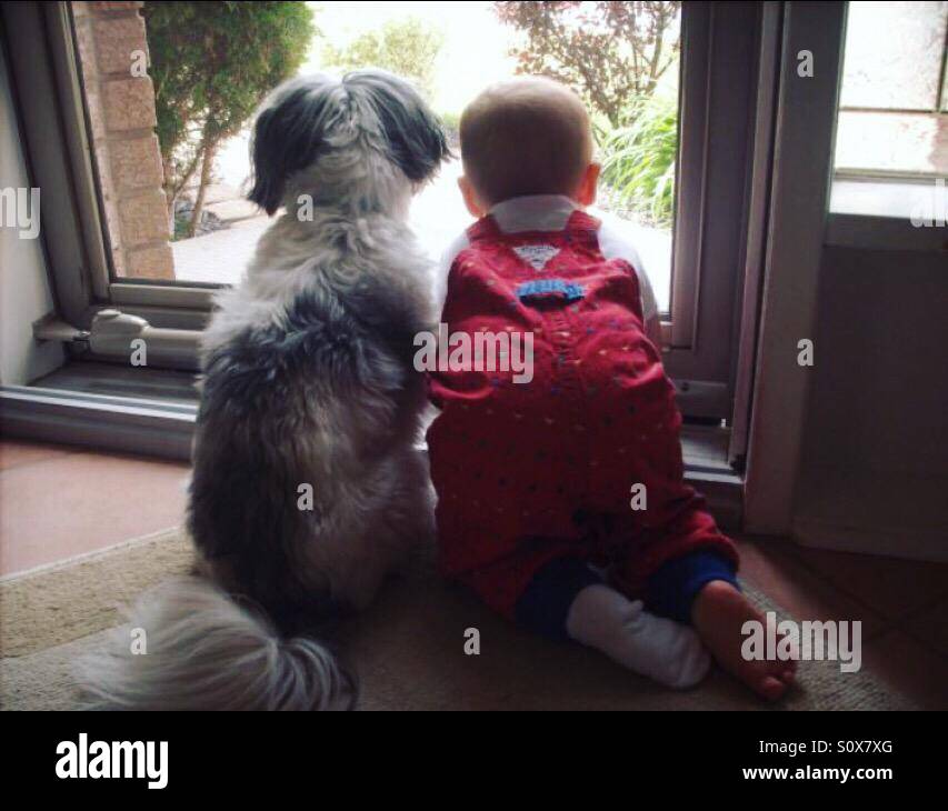 Baby best friend hi-res stock photography and images - Alamy