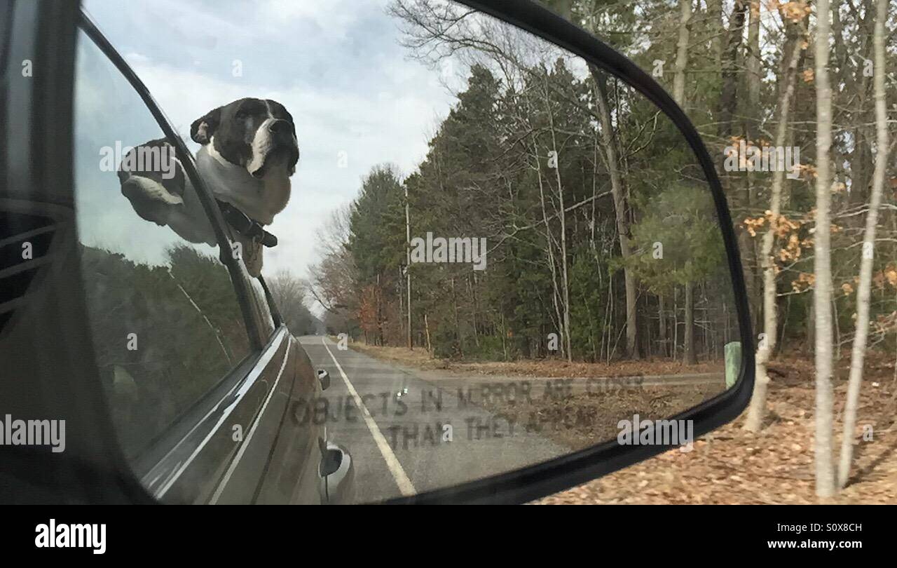Head out of window hi-res stock photography and images - Alamy
