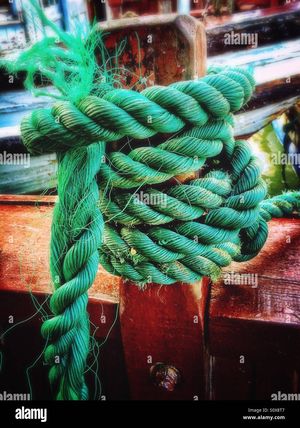Thick green hi-res stock photography and images - Alamy