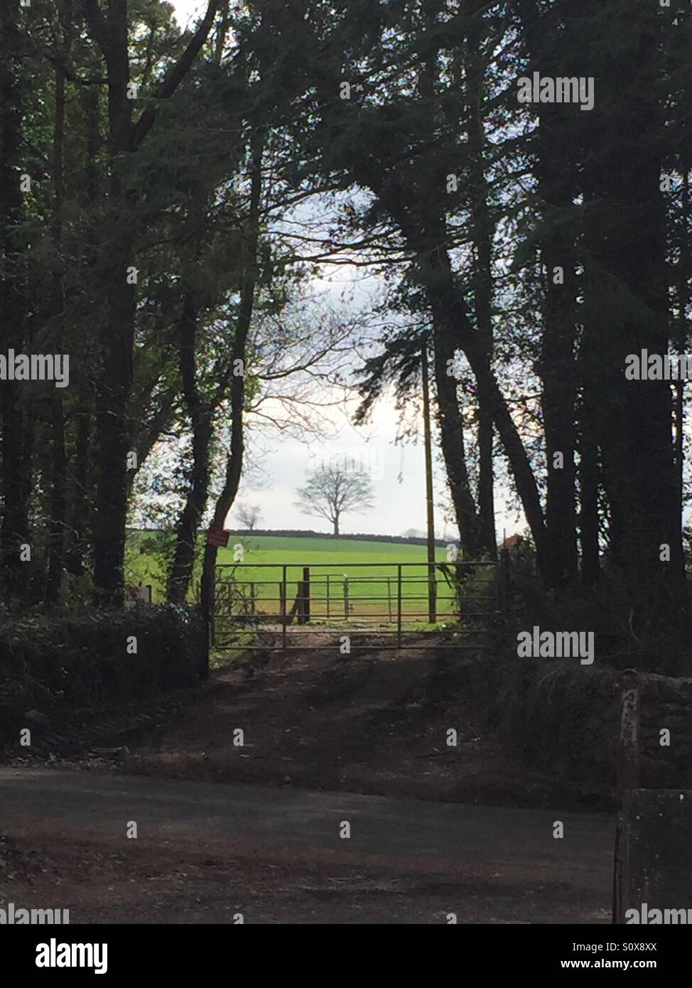 Country lane ireland hi-res stock photography and images - Alamy