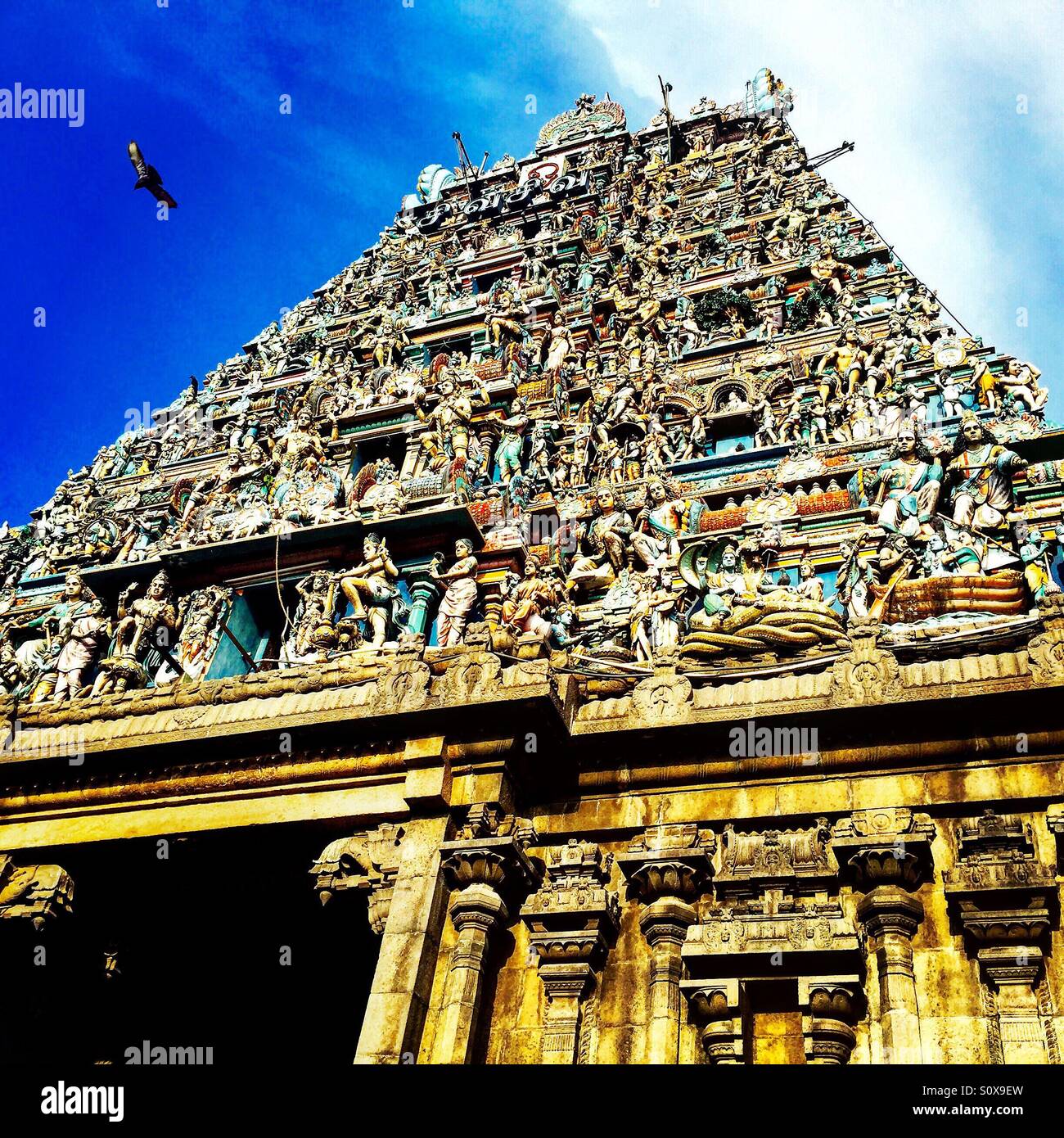 Kapaleeshwarar temple hi-res stock photography and images - Alamy