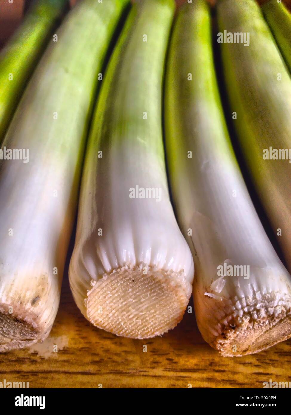 Leek of wales hi-res stock photography and images - Alamy