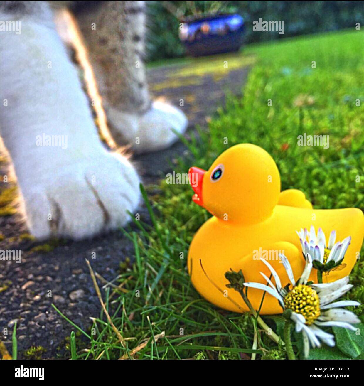 Hello feet hi-res stock photography and images - Alamy
