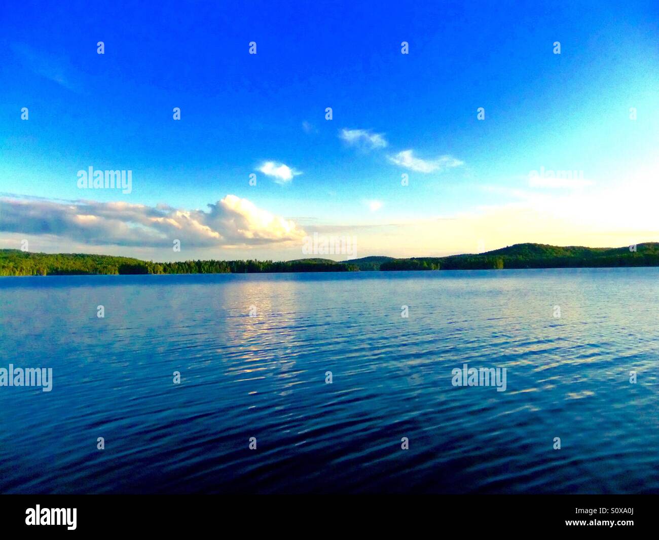 Lakeshore Forest Hills Stock Photo - Alamy