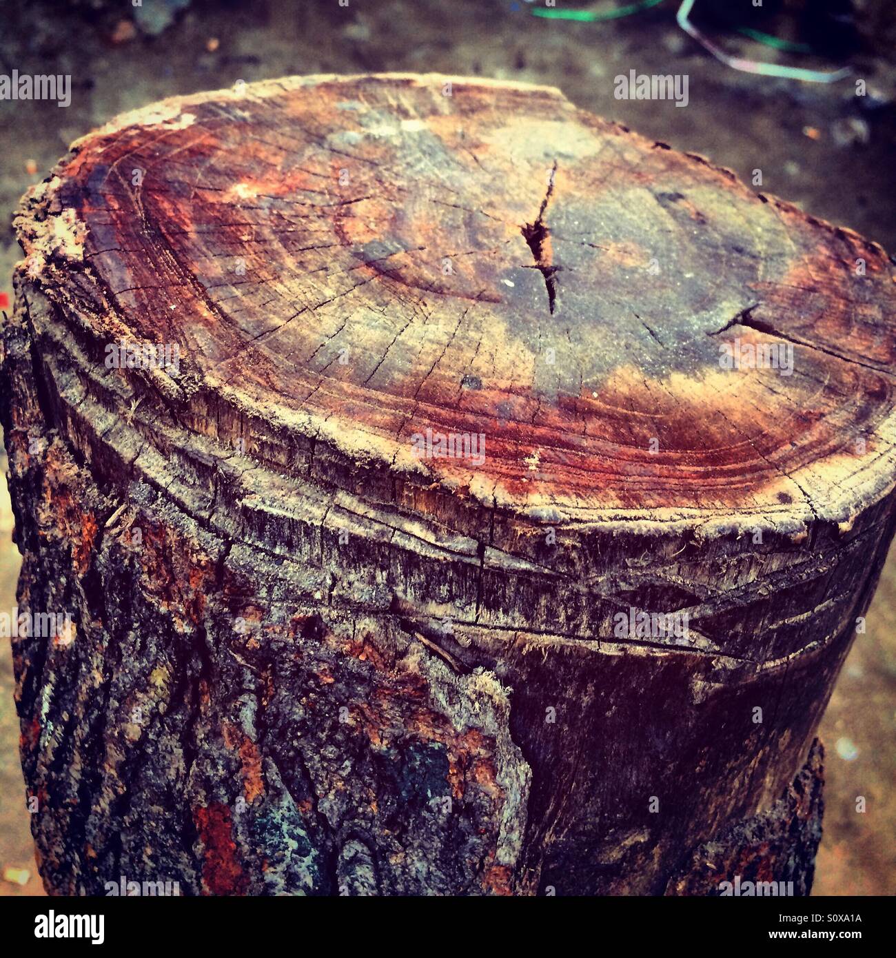 Felled wood texture hi-res stock photography and images - Alamy
