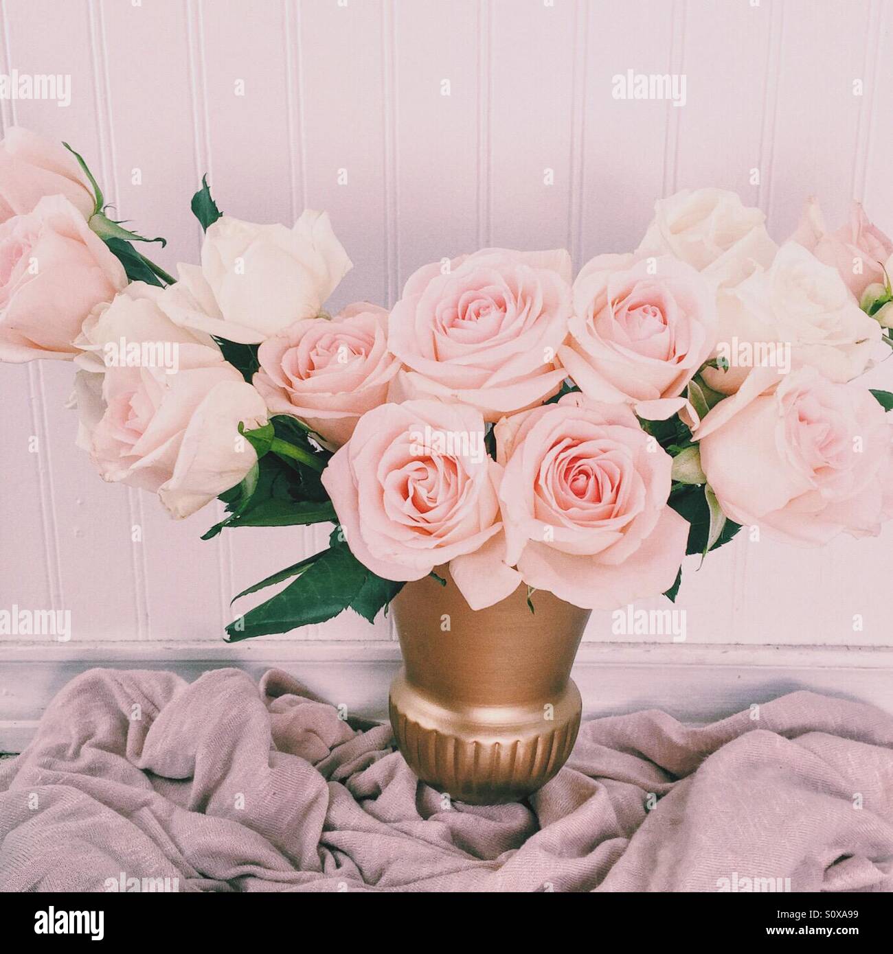 Smell of roses hi-res stock photography and images - Alamy