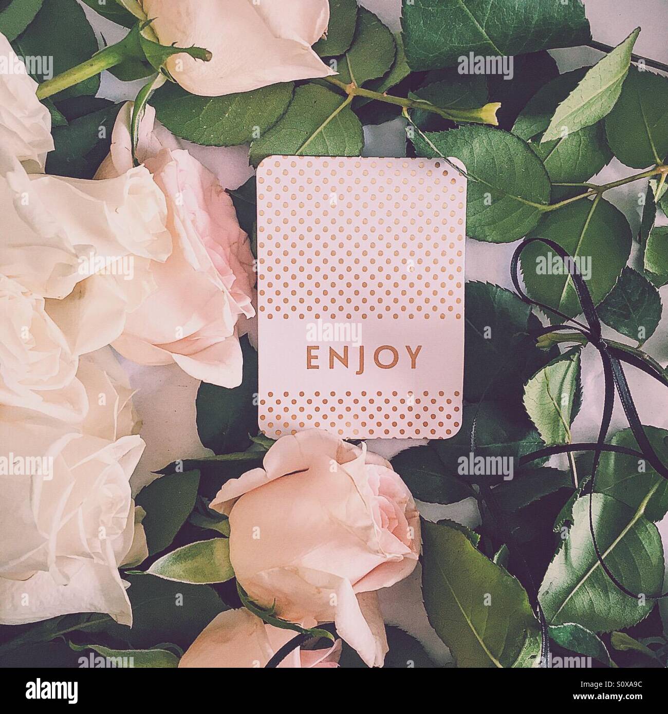 Enjoy your life hi-res stock photography and images - Alamy