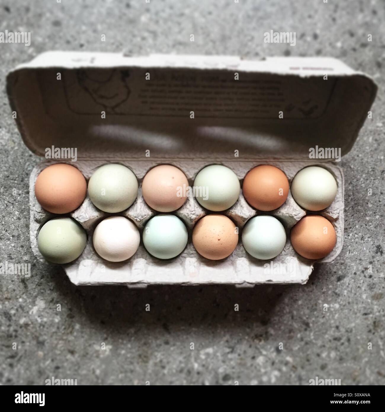Free range organic eggs in carton Stock Photo - Alamy