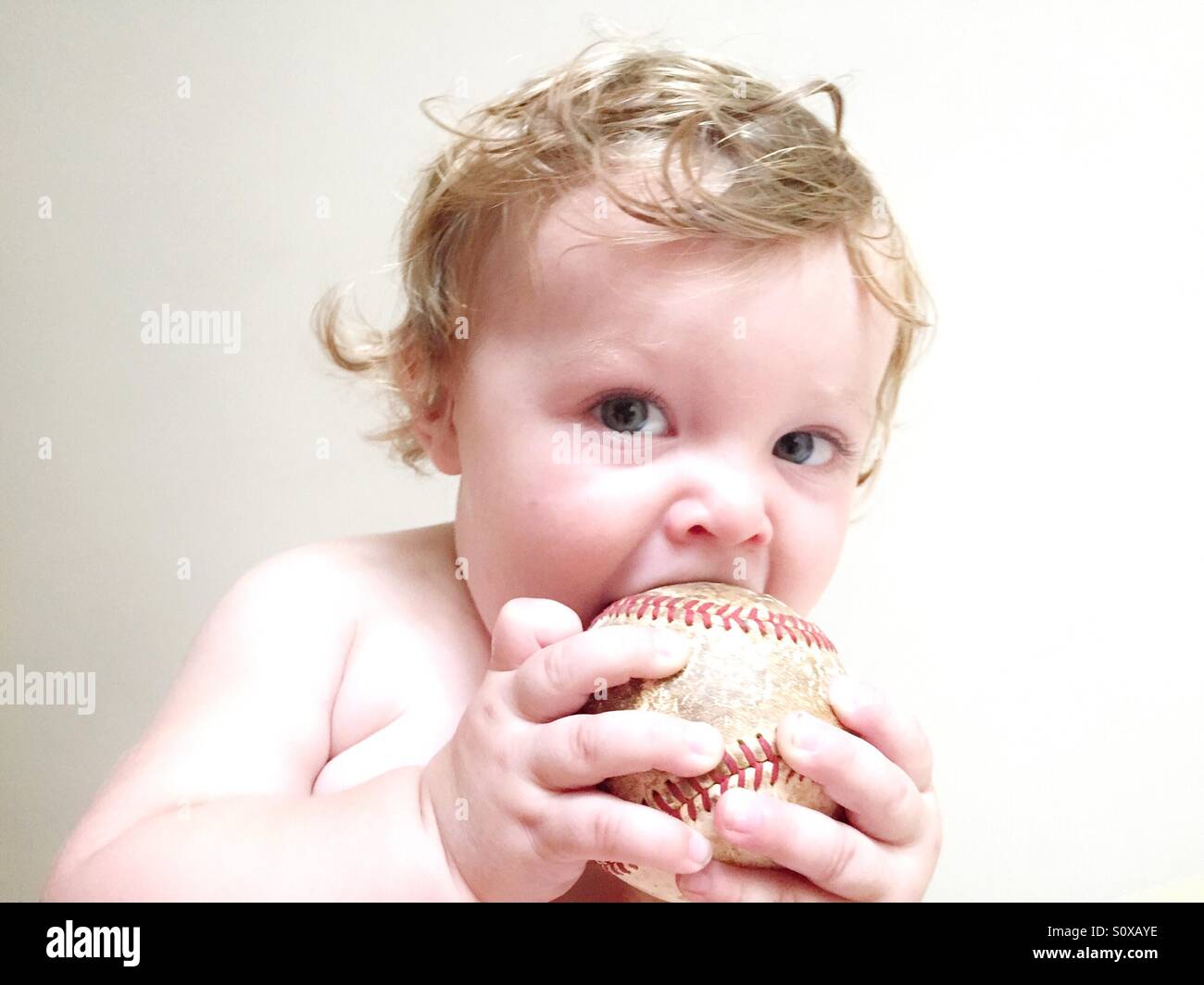 High key image of a baby boy chewing on an old baseball Stock Photo - Alamy