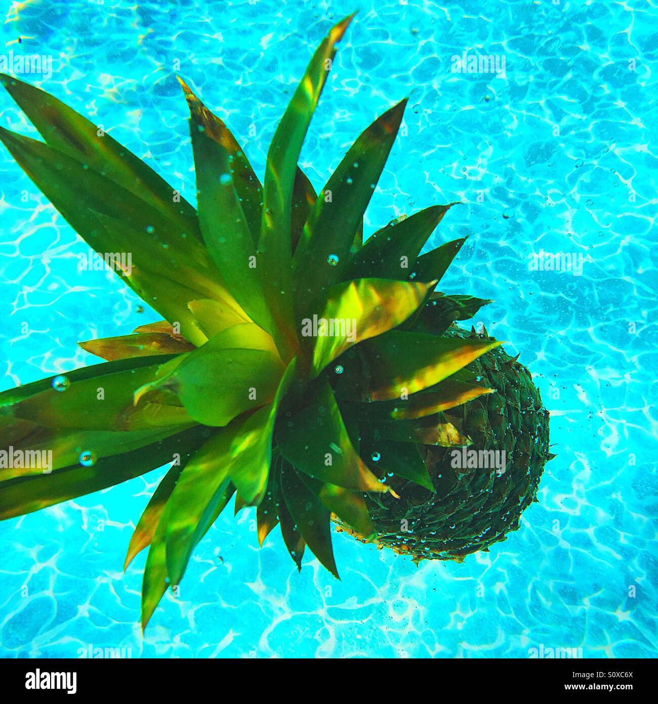 Pineapple sinking under water in a swimming pool Stock Photo - Alamy