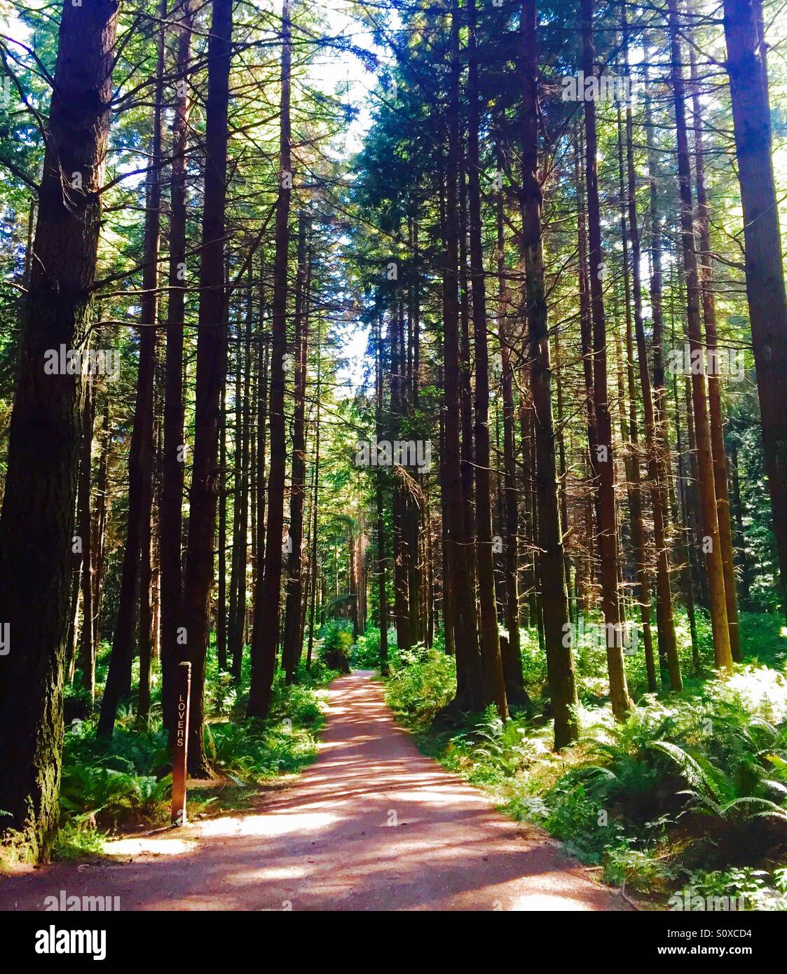 Naturewalk hi-res stock photography and images - Alamy