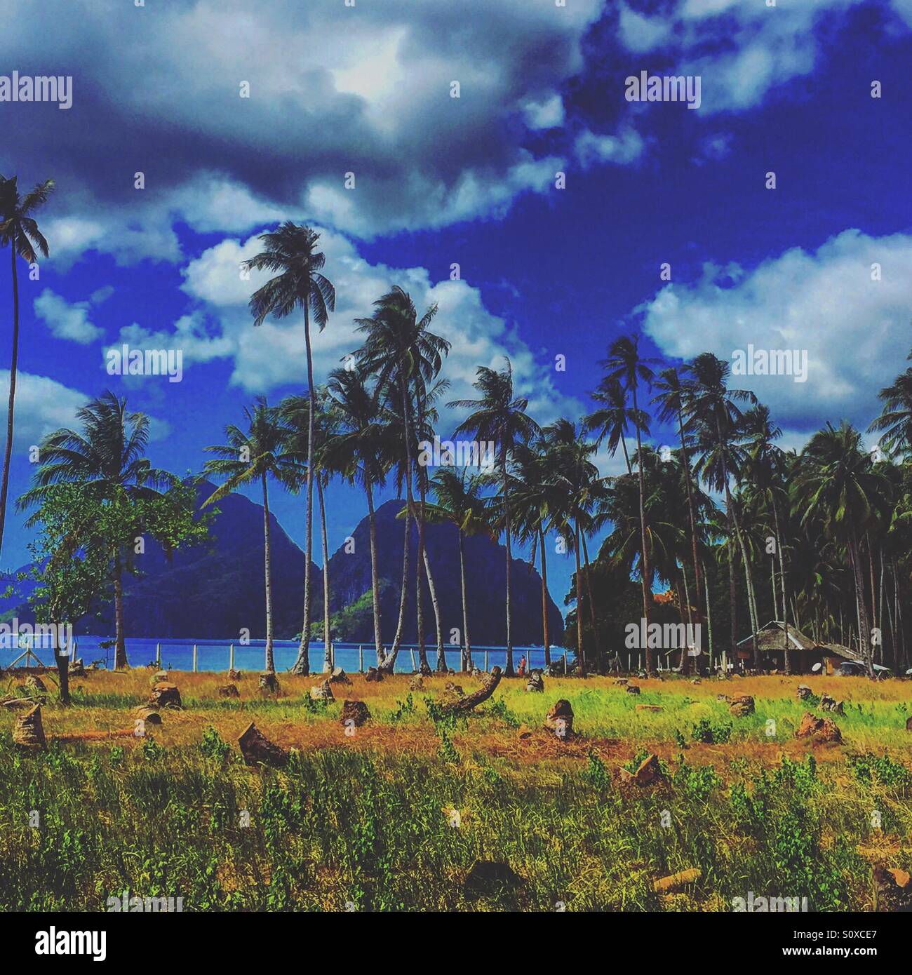 El Nido Philippines Stock Photo Alamy el-nido-philippines-stock-photo-alamy
