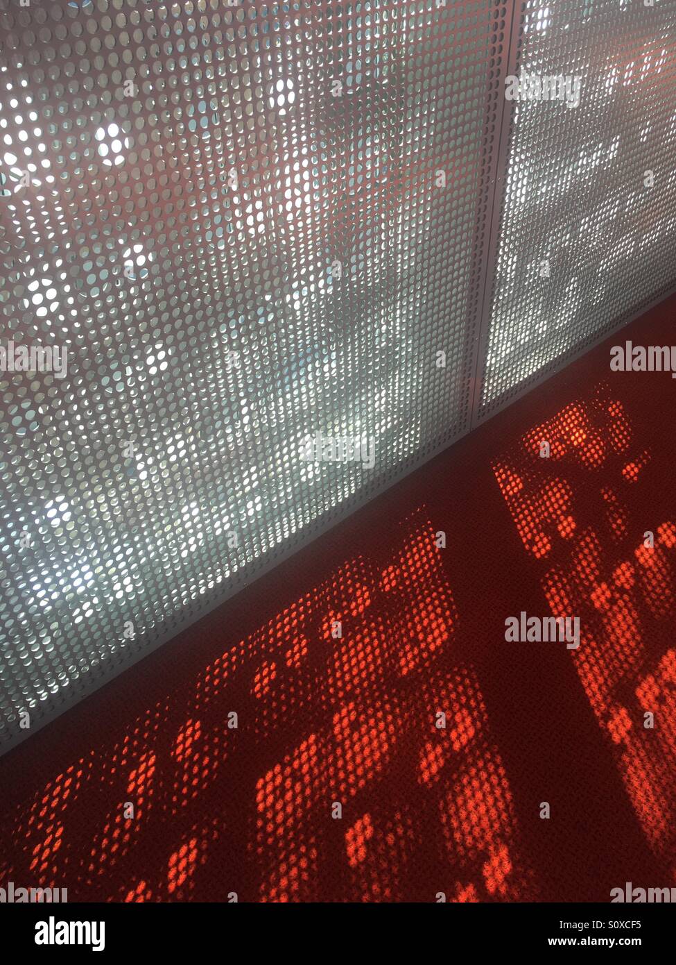 Through mesh hi-res stock photography and images - Alamy