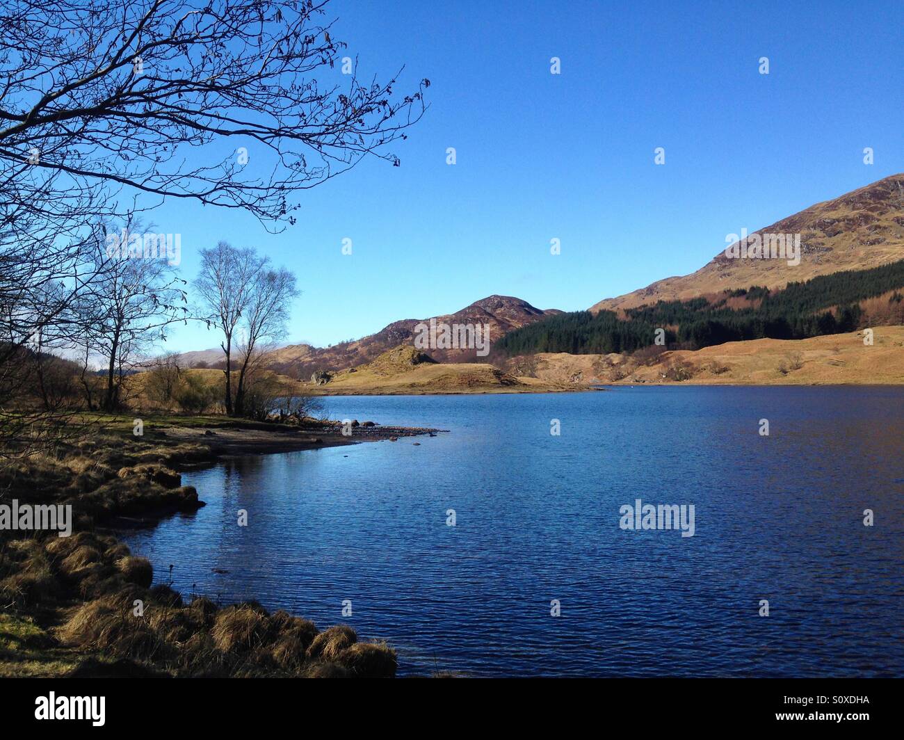 Crianlarich hills hi-res stock photography and images - Alamy