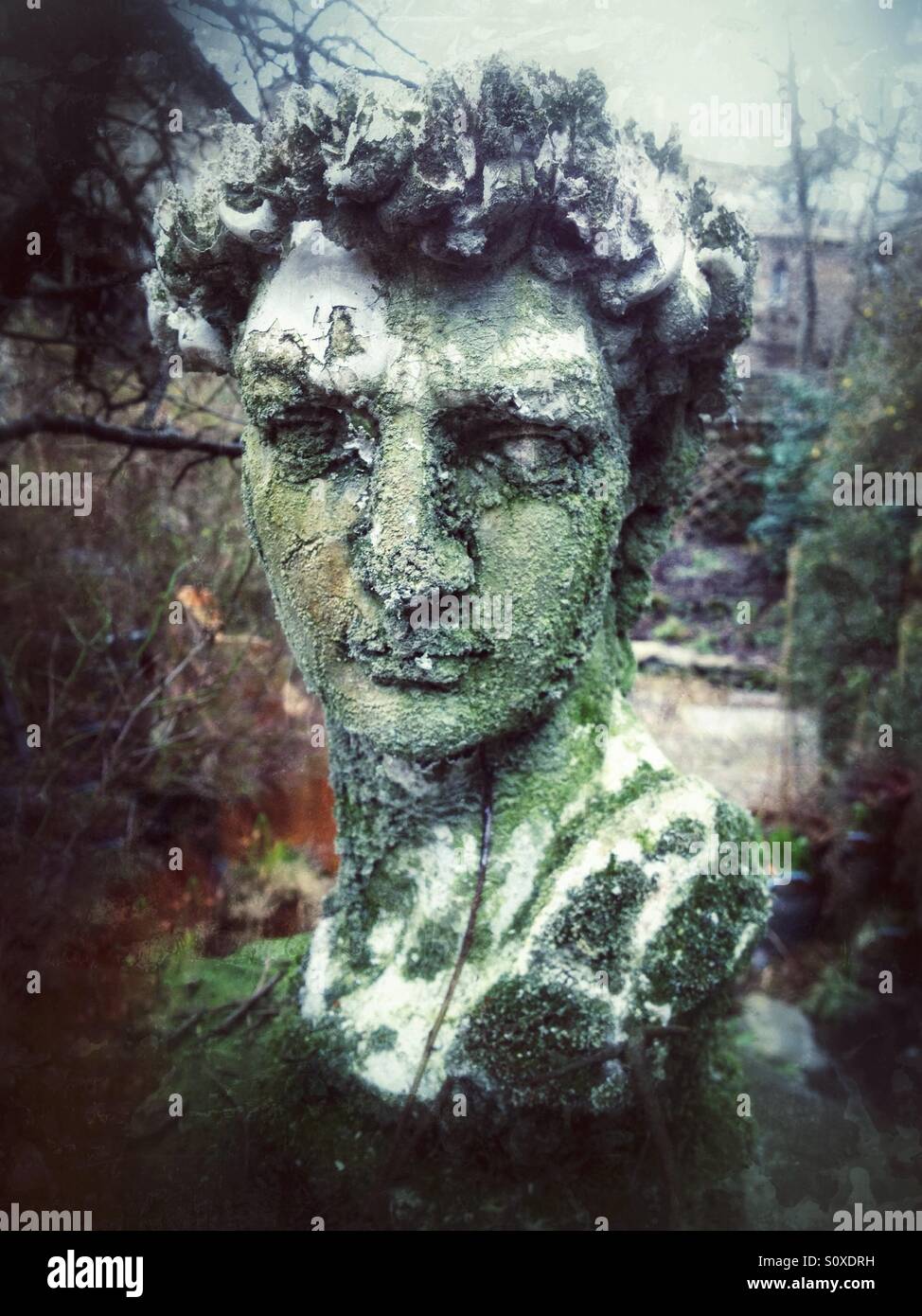Stone angel head hi-res stock photography and images - Alamy