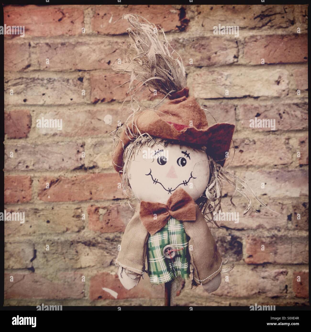 Cute scarecrow hi-res stock photography and images - Alamy