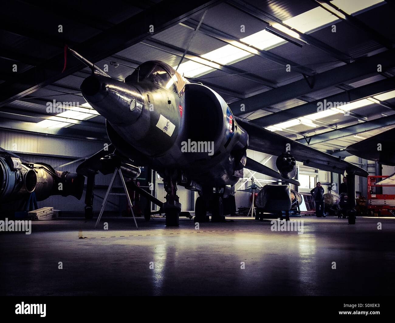Raf hawker harrier hi-res stock photography and images - Alamy