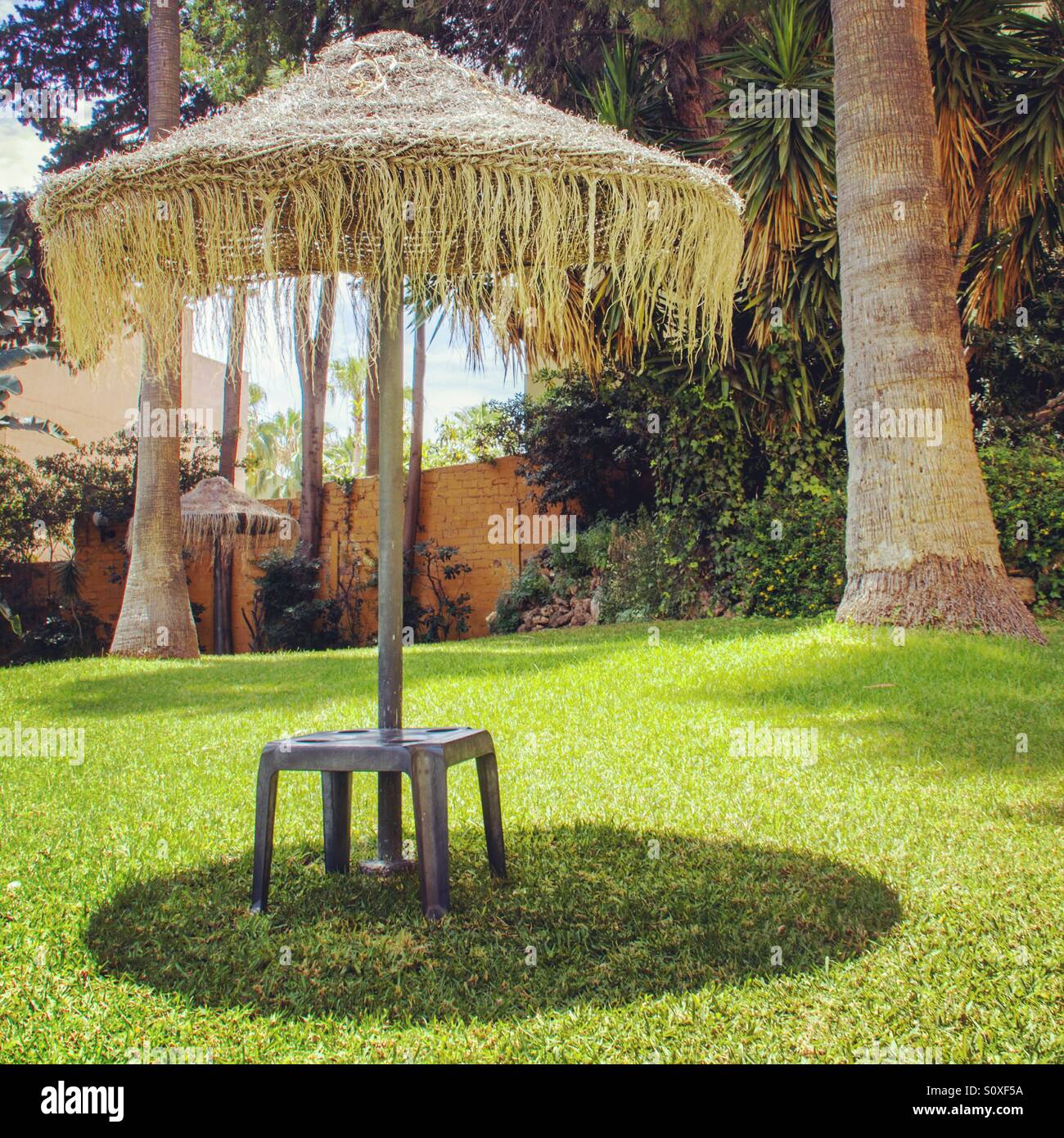 Parasol at a sunny holiday resort Stock Photo - Alamy