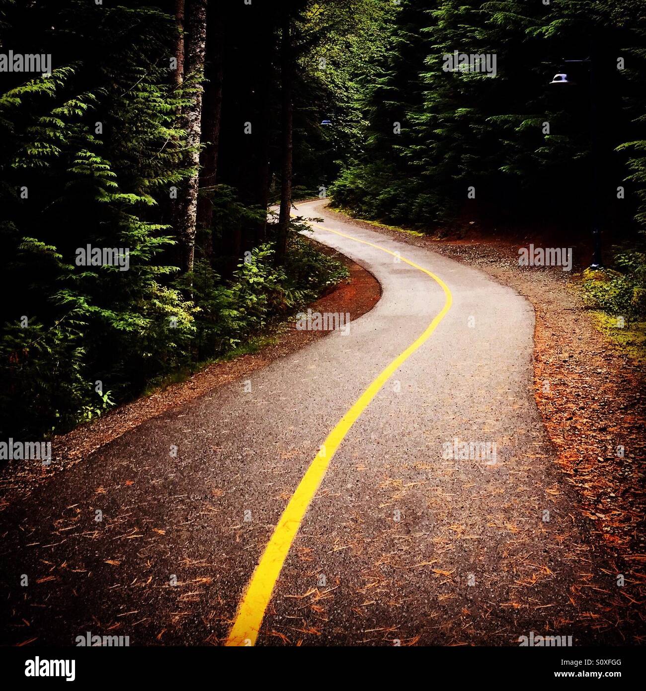 Windy Pathway High Resolution Stock Photography and Images - Alamy