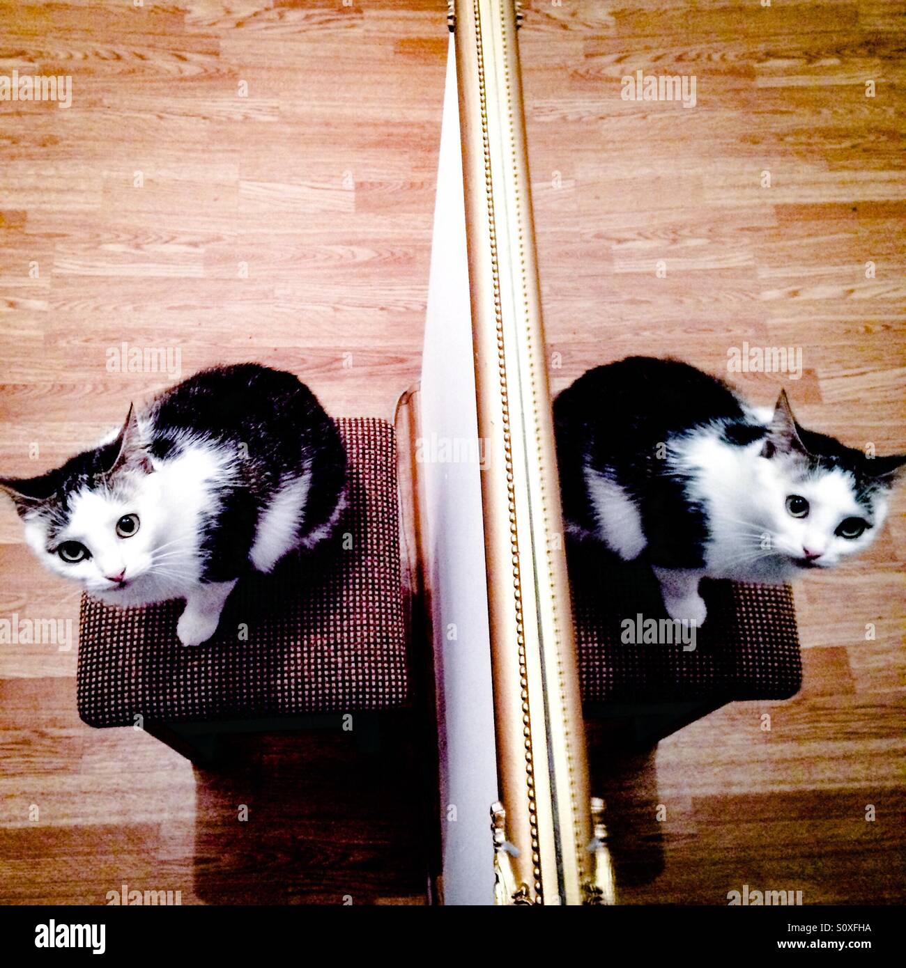 Reflection home hi-res stock photography and images - Alamy