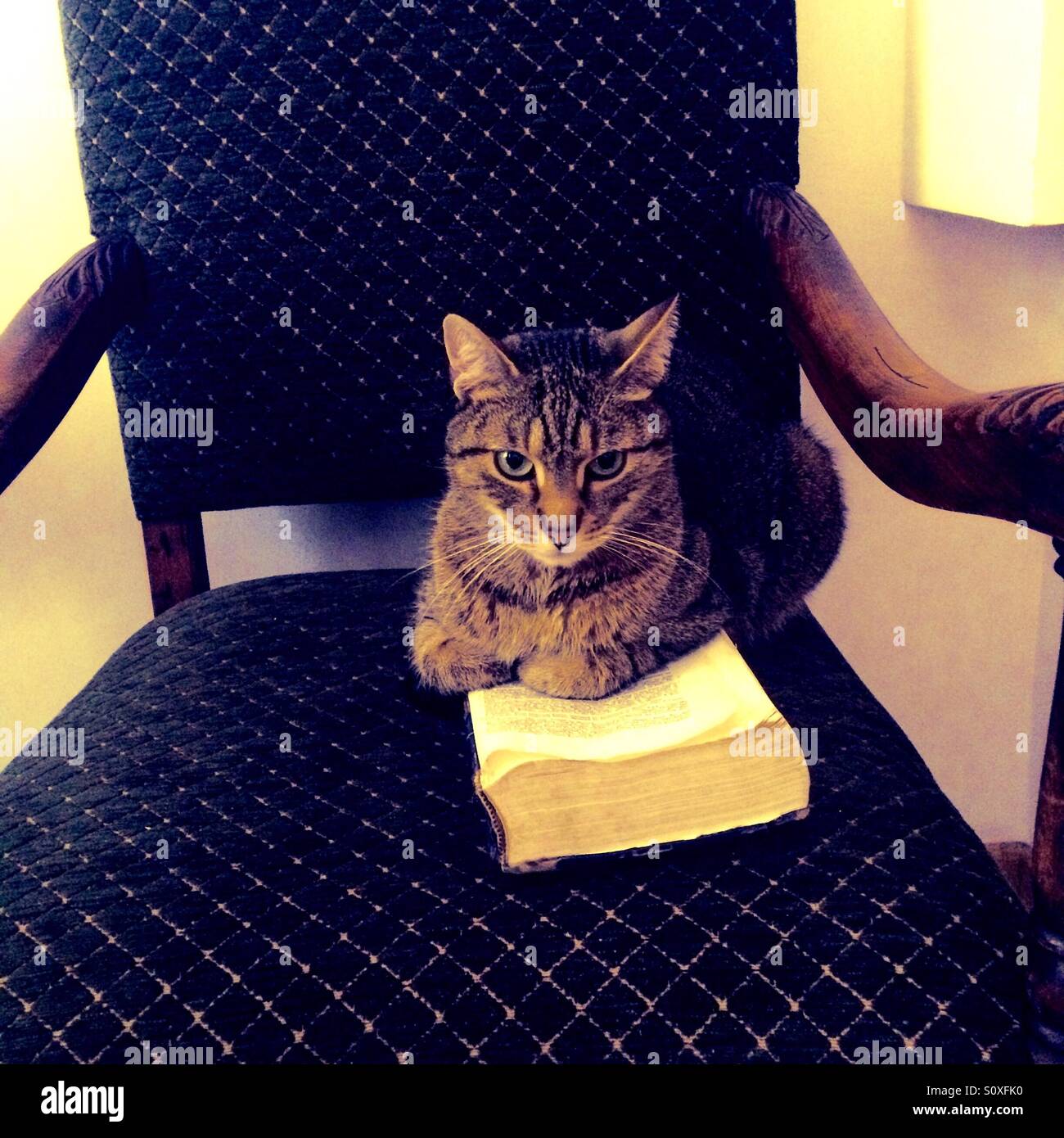 Sitting On His Throne High Resolution Stock Photography and Images - Alamy