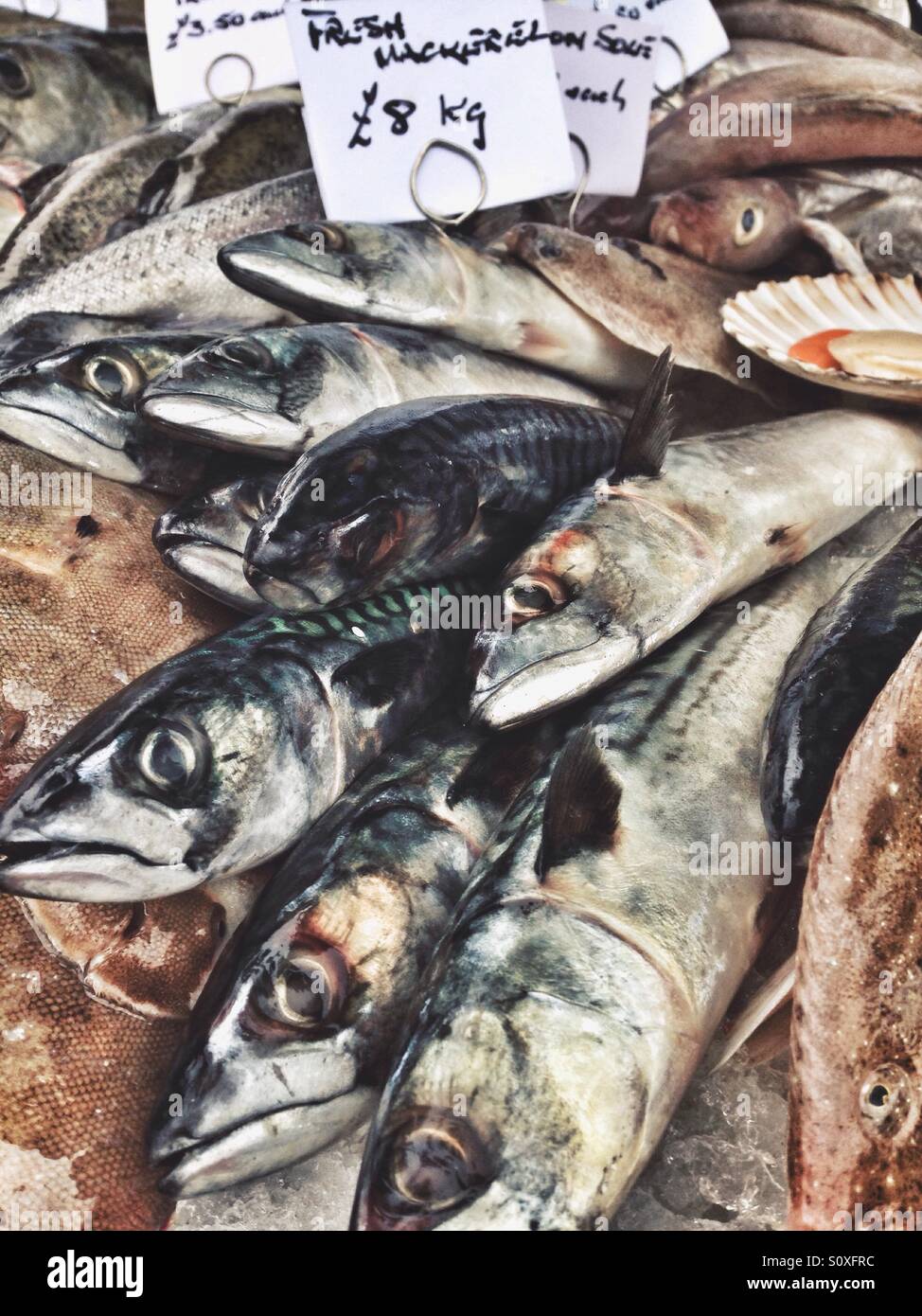 Mackerels on display at a market in London, England Stock Photo - Alamy