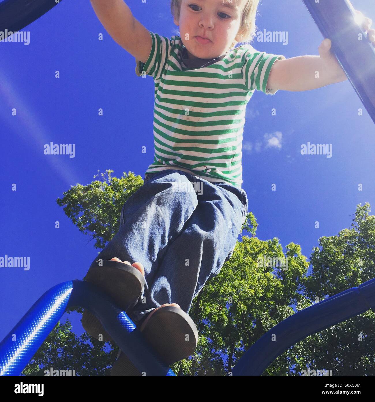 Trees climbing hi-res stock photography and images - Alamy