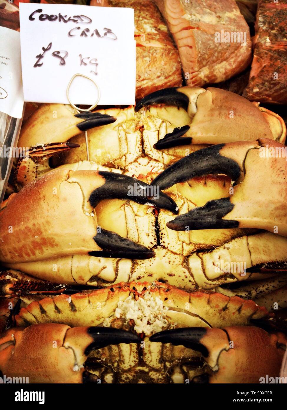 Cooking Crab Seafood Displays