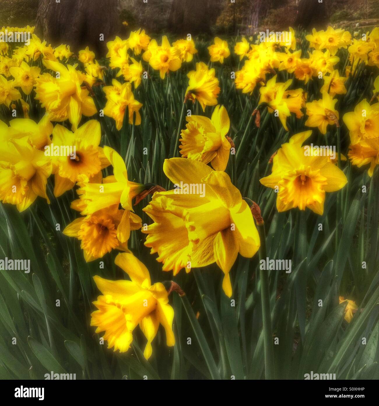 Spring england hi-res stock photography and images - Alamy