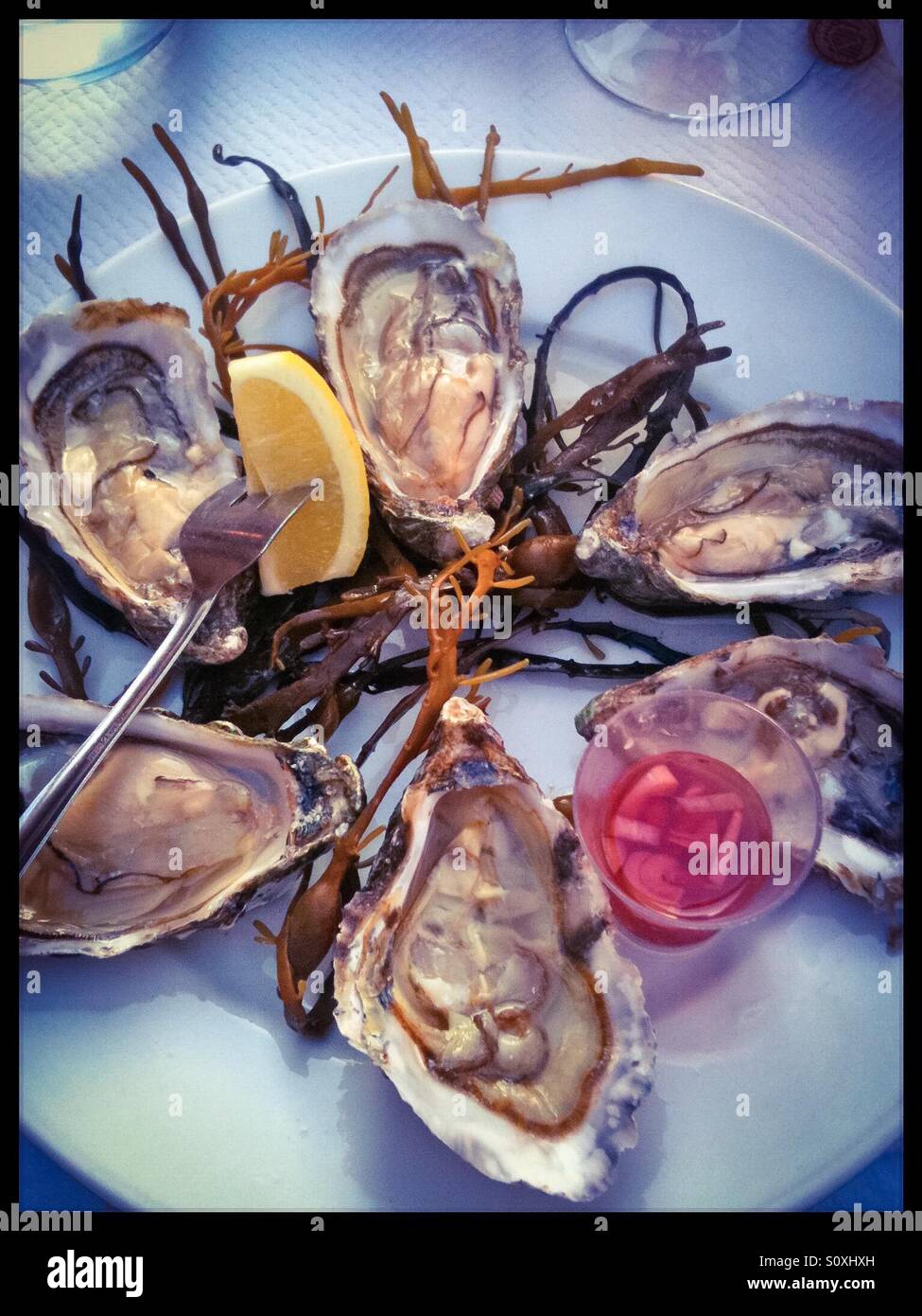 Huitres oysters hi-res stock photography and images - Alamy