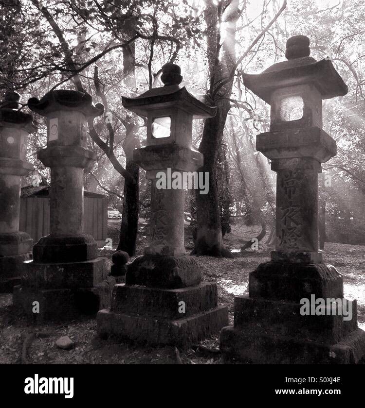 Forgotten light hi-res stock photography and images - Alamy