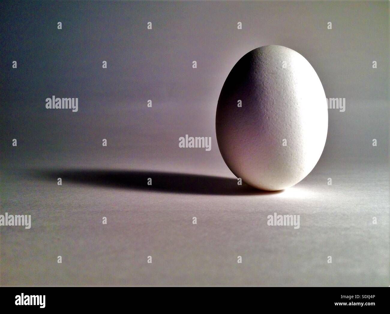 A single white egg standing upright side lit with shadow on white ...