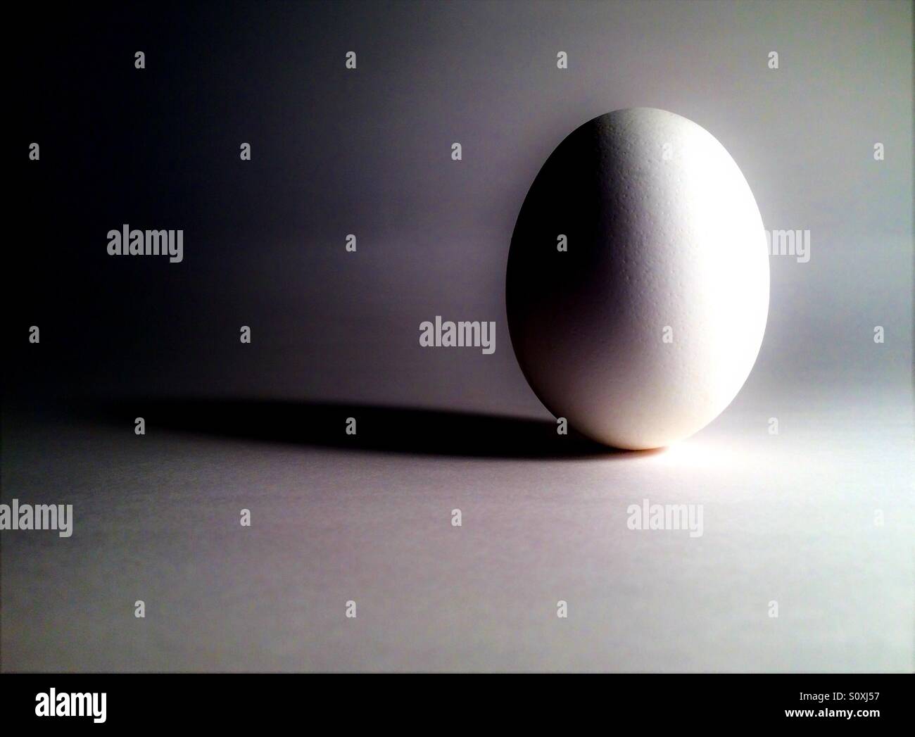 A single egg standing upright side lit with dramatic shadow on white ...