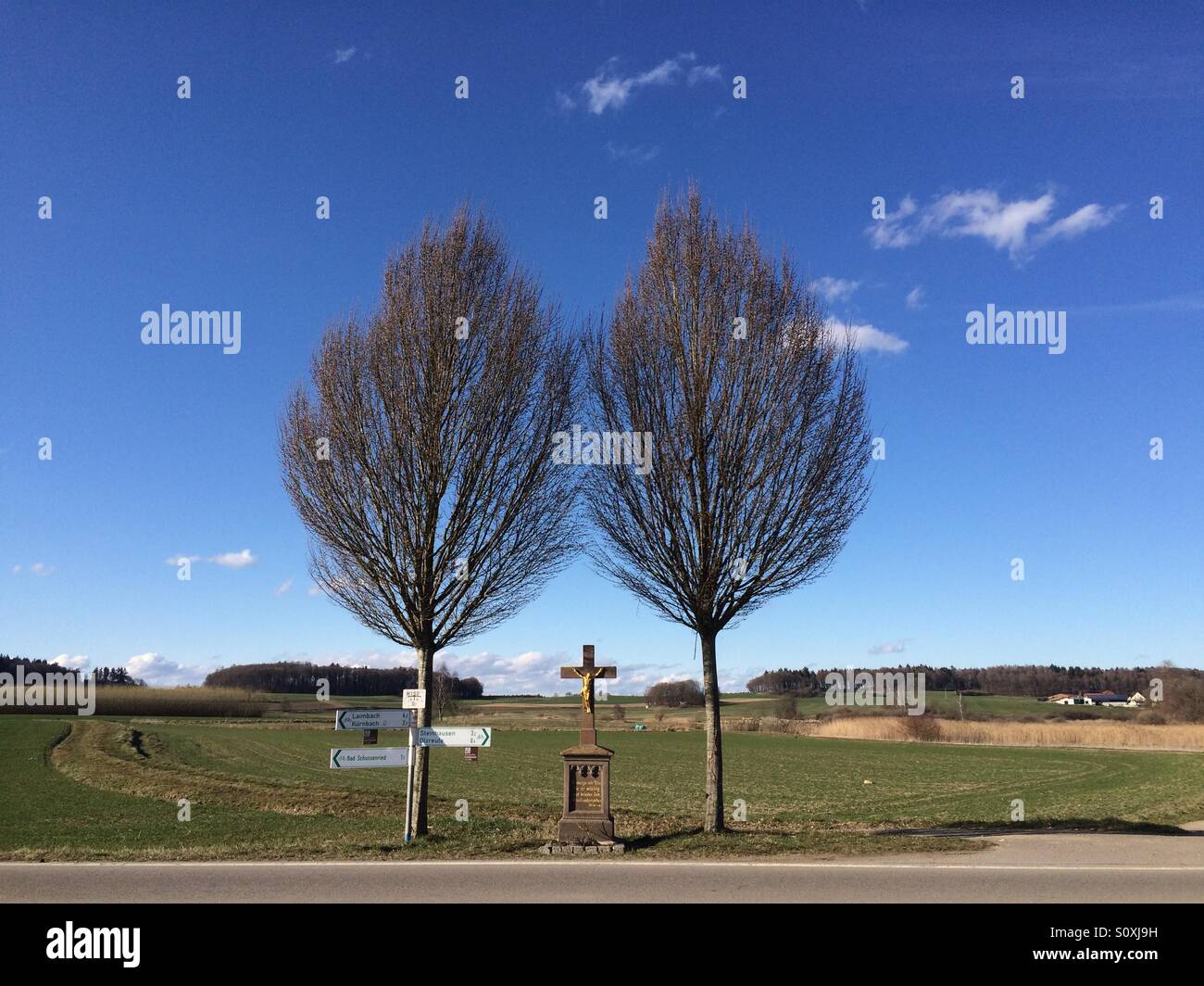 Twin trees hi-res stock photography and images - Alamy