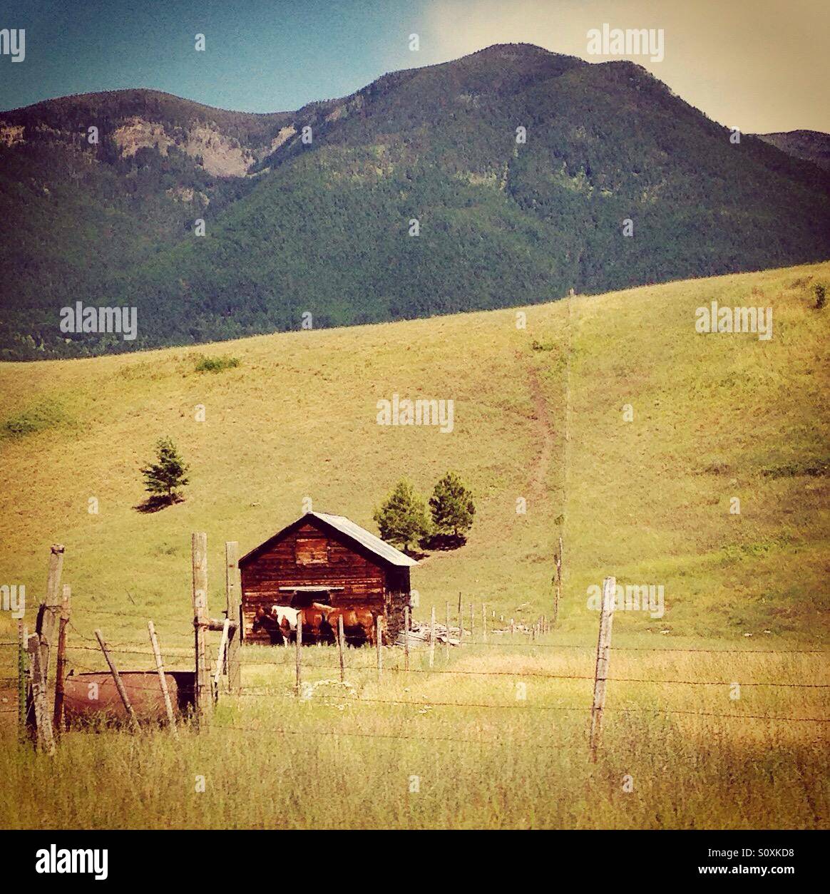 Montana cabin hi-res stock photography and images - Alamy
