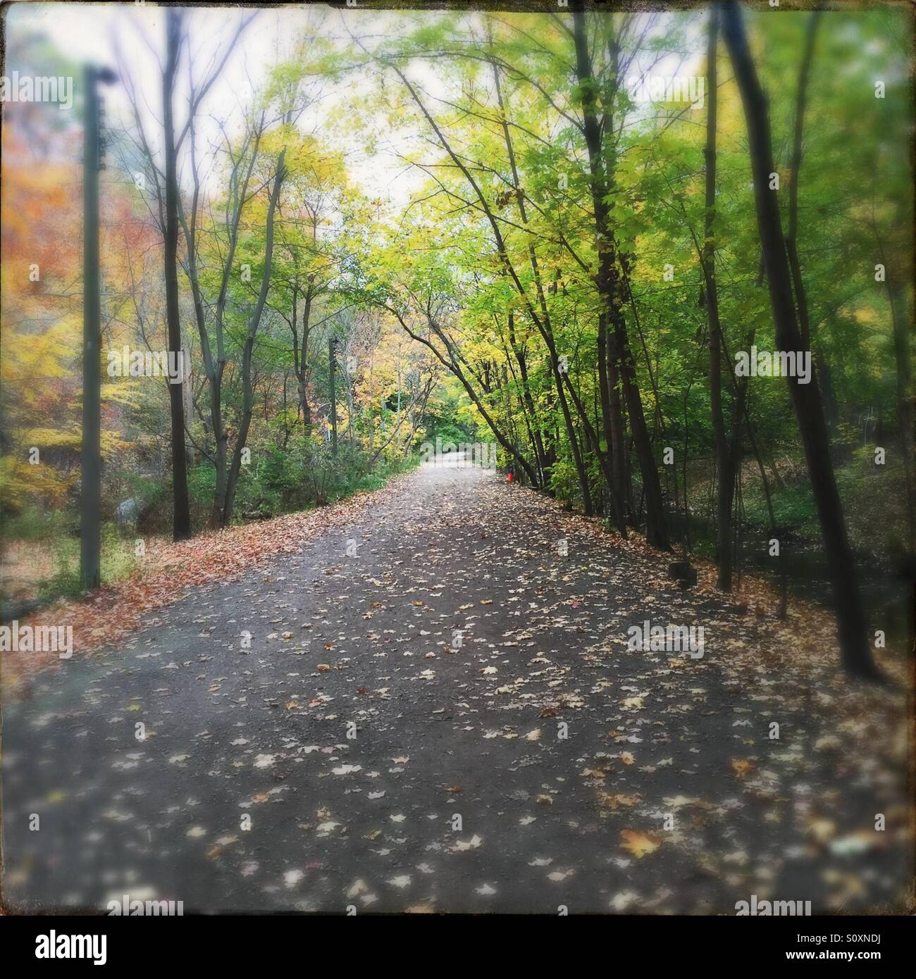 Toronto trail hi-res stock photography and images - Alamy