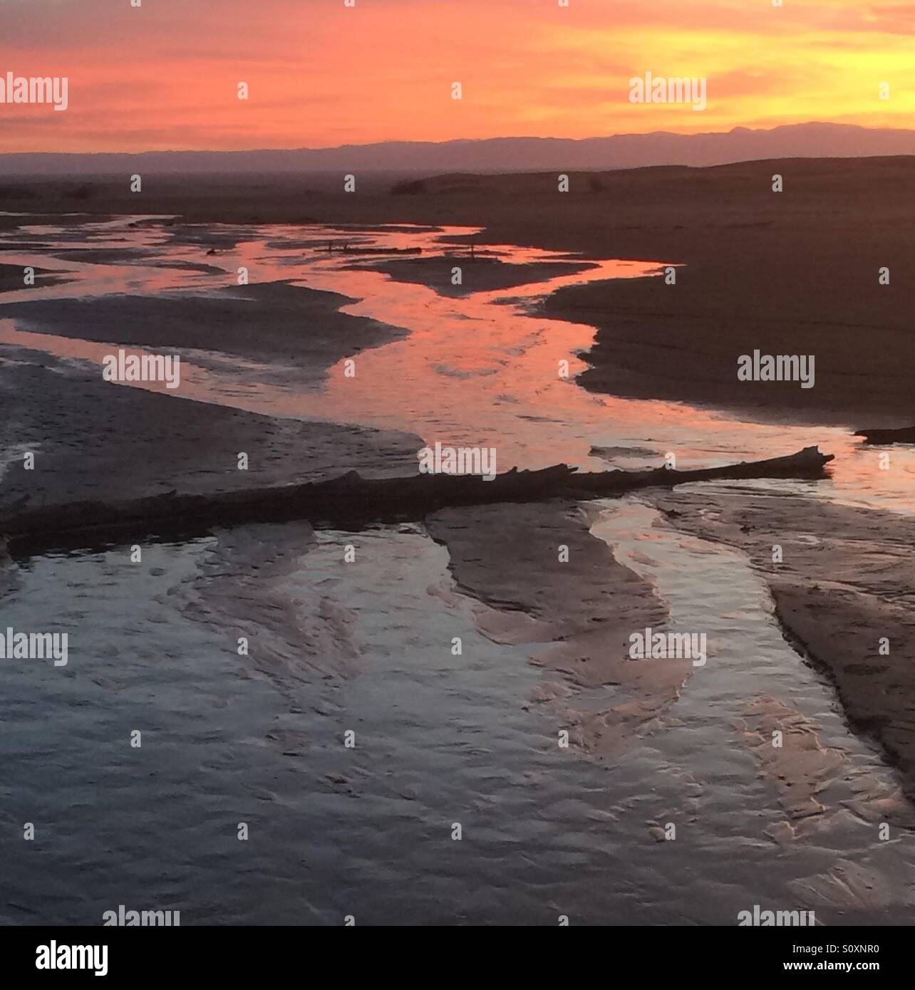 Sand dunes on fire Stock Photo - Alamy
