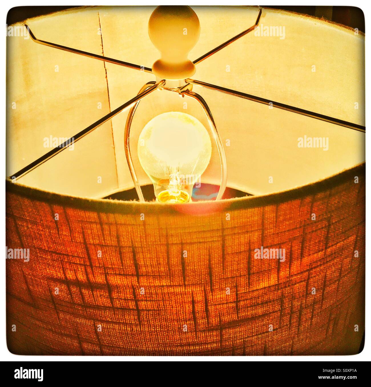 Light bulb lamp shade hi-res stock photography and images - Alamy