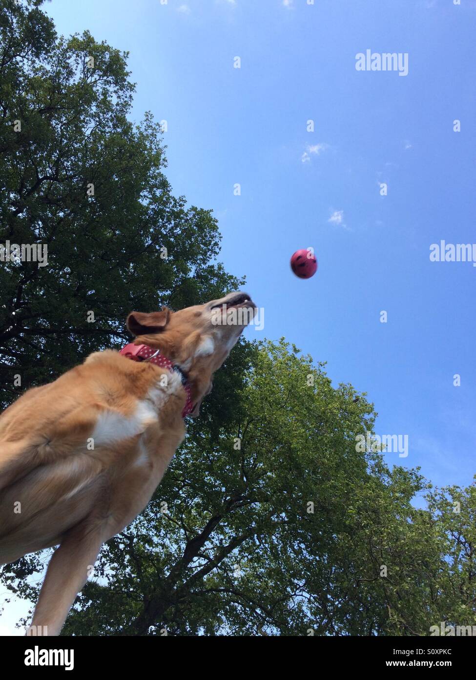 Exact cross hi-res stock photography and images - Alamy