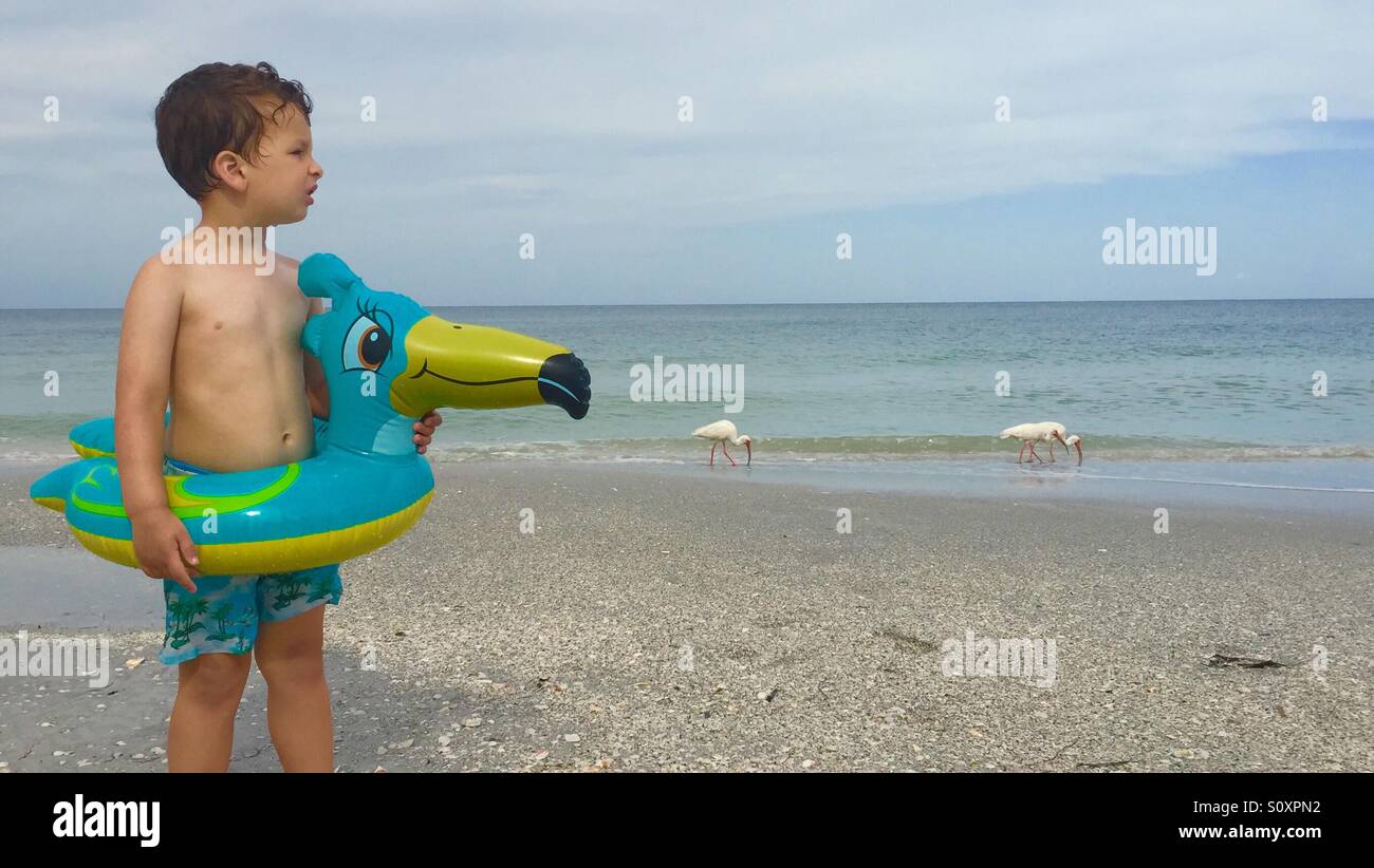 Toucan beach float Stock Photo - Alamy