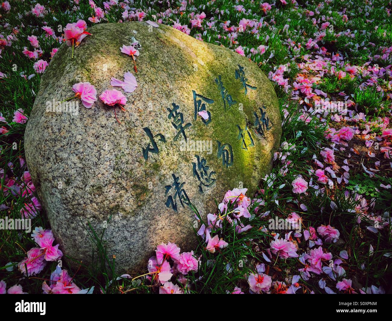 Falling on to ground hi-res stock photography and images - Alamy