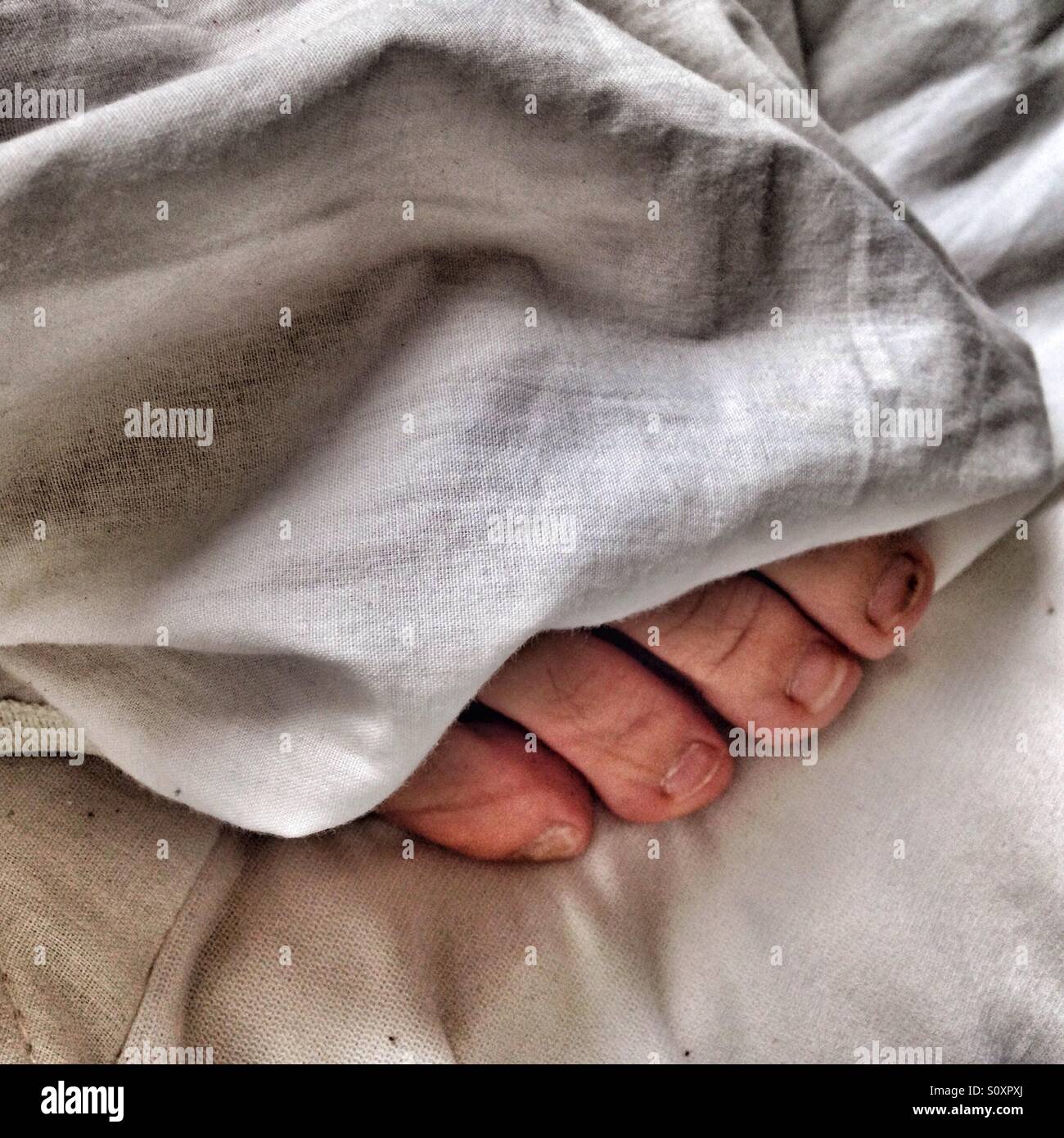 Four toes each foot hi-res stock photography and images - Alamy