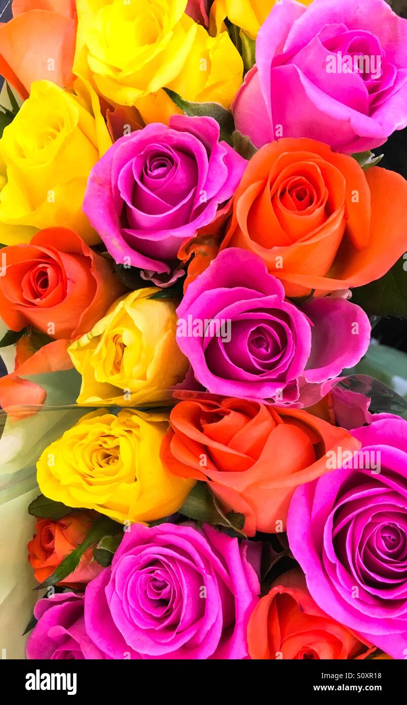 Brightly coloured flowers as a background Stock Photo - Alamy