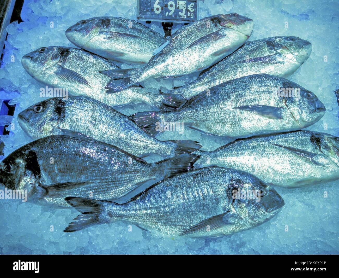 Fresh Sea Bream Fish Sale Stock Photos & Fresh Sea Bream Fish Sale ...