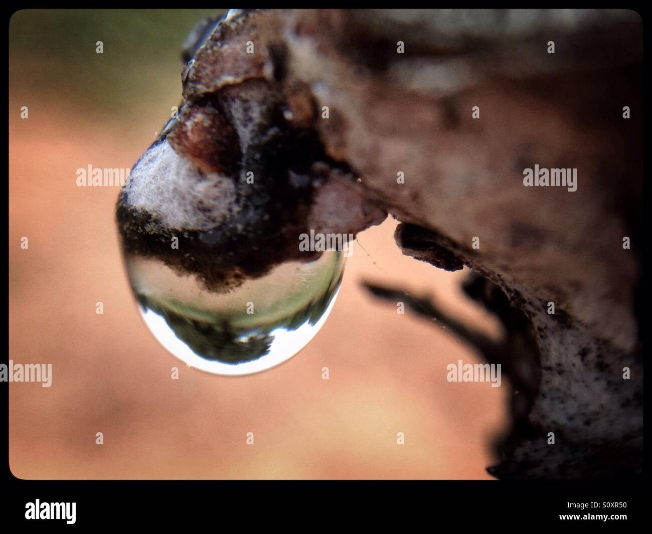 Grape sap hi-res stock photography and images - Alamy