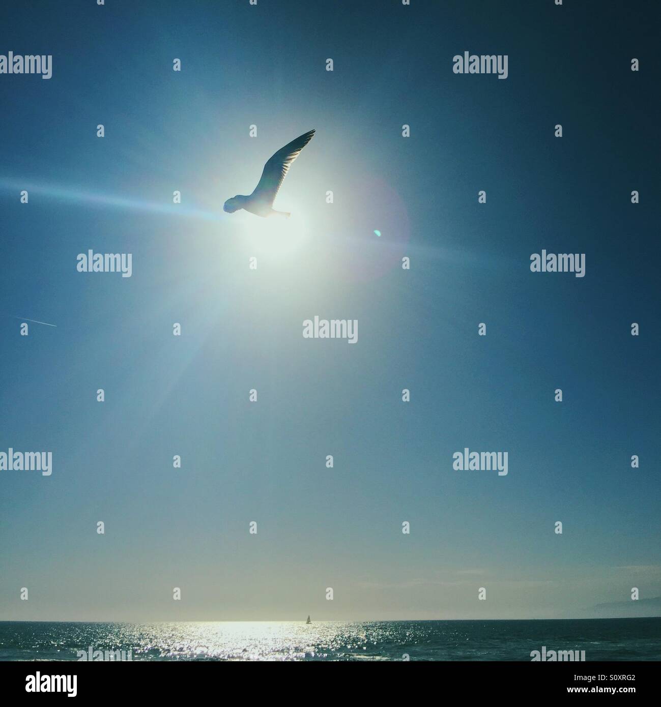 Flying over pacific ocean hi-res stock photography and images - Alamy