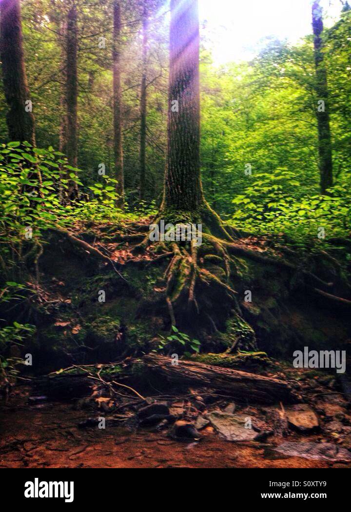 Tolkiens hi-res stock photography and images - Alamy