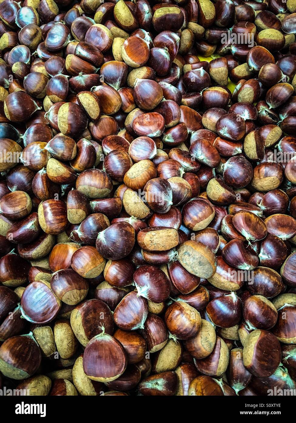 Chest Nuts High Resolution Stock Photography and Images - Alamy